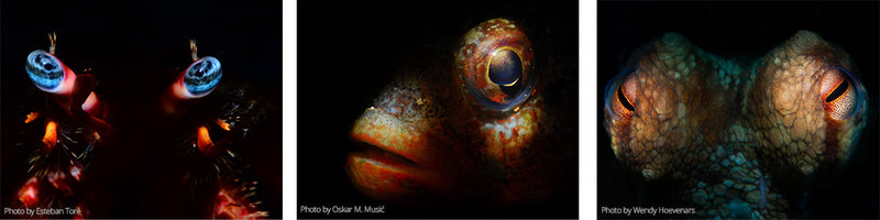 Light Shaping Device Article