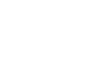 Light Shaping Device Article