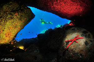 Light Shaping Device Article