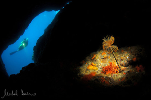 Light Shaping Device Article